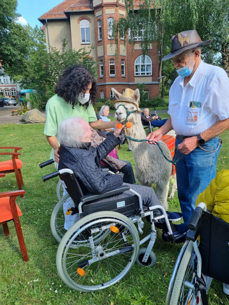 Alpaka Besuch am 24.08.2021 im ev. Pflegewohnheim Schönow - GSF ... Alpaka Besuch am 24.08.2021 im ev. Pflegewohnheim Schönow - GSF ...